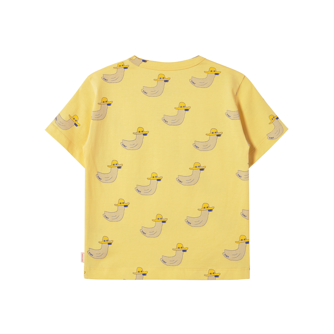 Tiny Cottons – The Youngsters