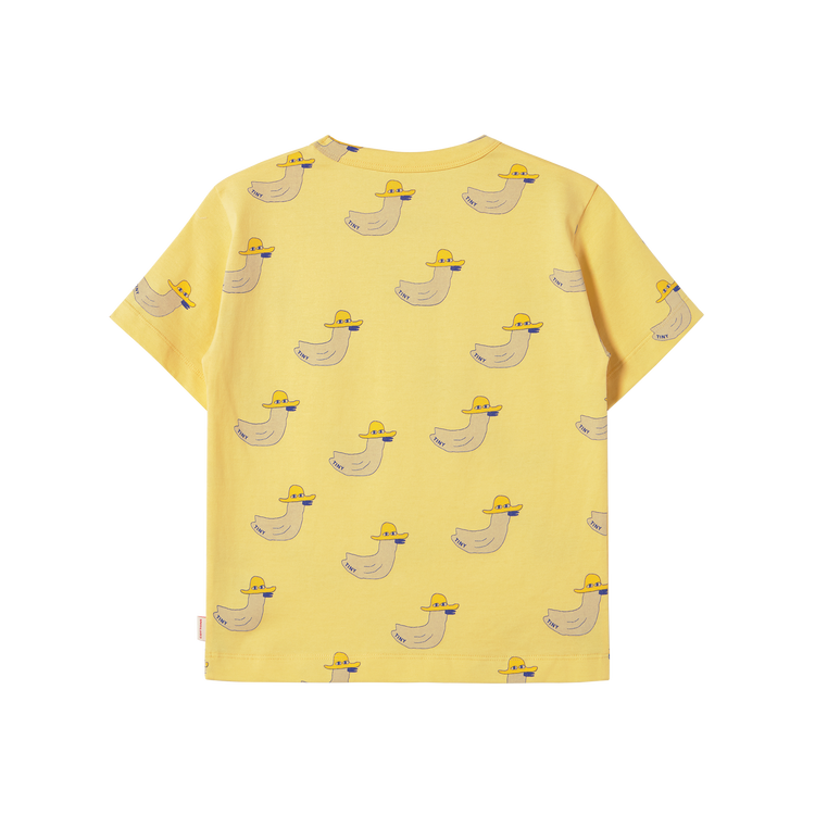 Tiny Cottons – The Youngsters